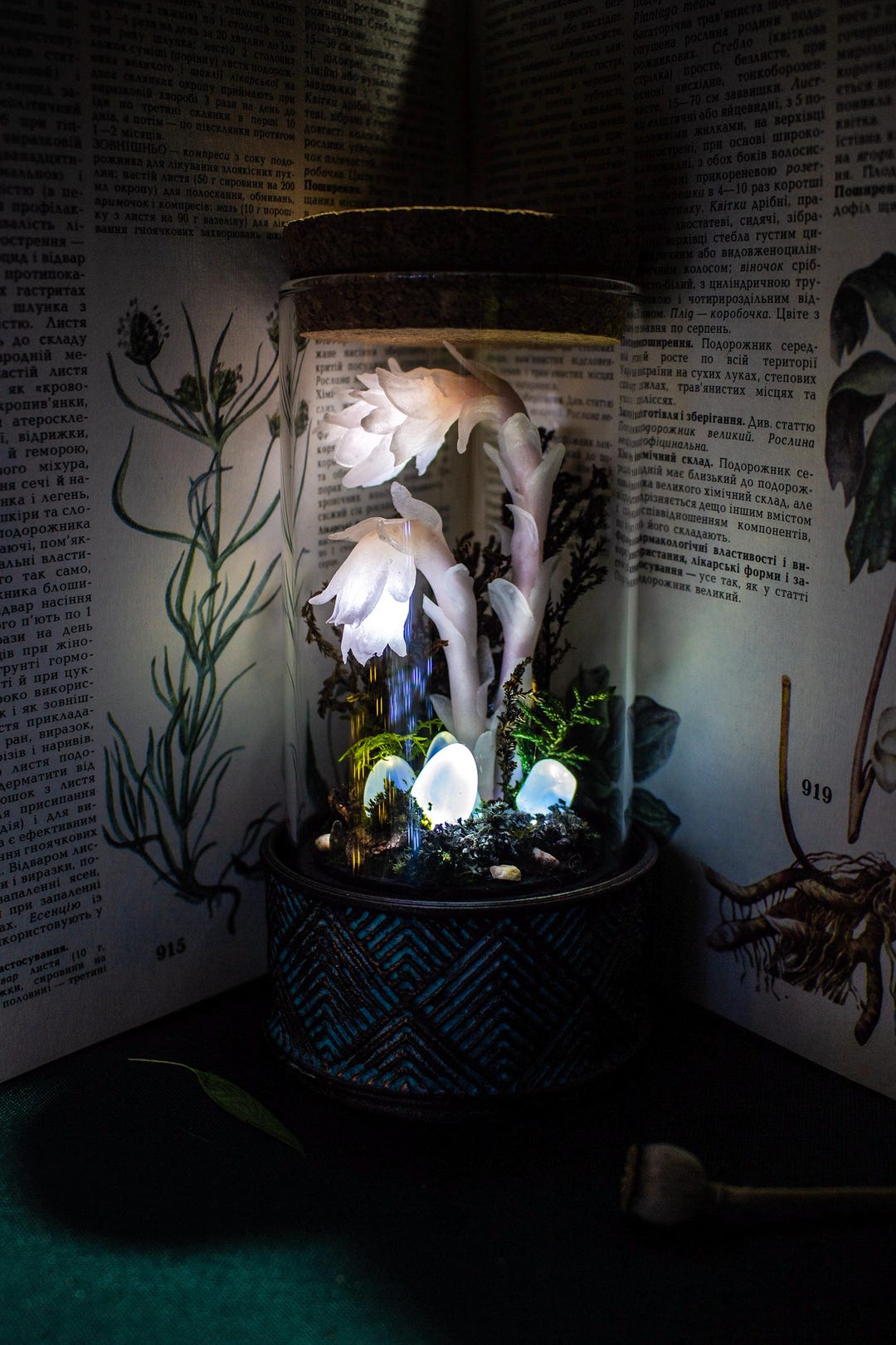 Mushrooms - Mushroom Lamp - Mushroom Lighting - Fungi Night Light ...