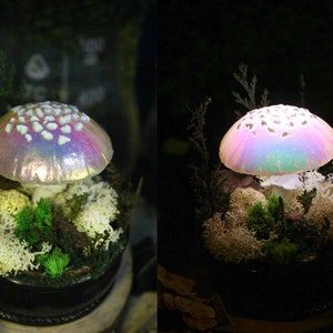 Mushroom Lamp MADE TO ORDER Mushrooms Mushroom Lamp Fungi Light ...