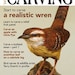 Carving the Wren Using Hand Tools: Digital Download - Etsy