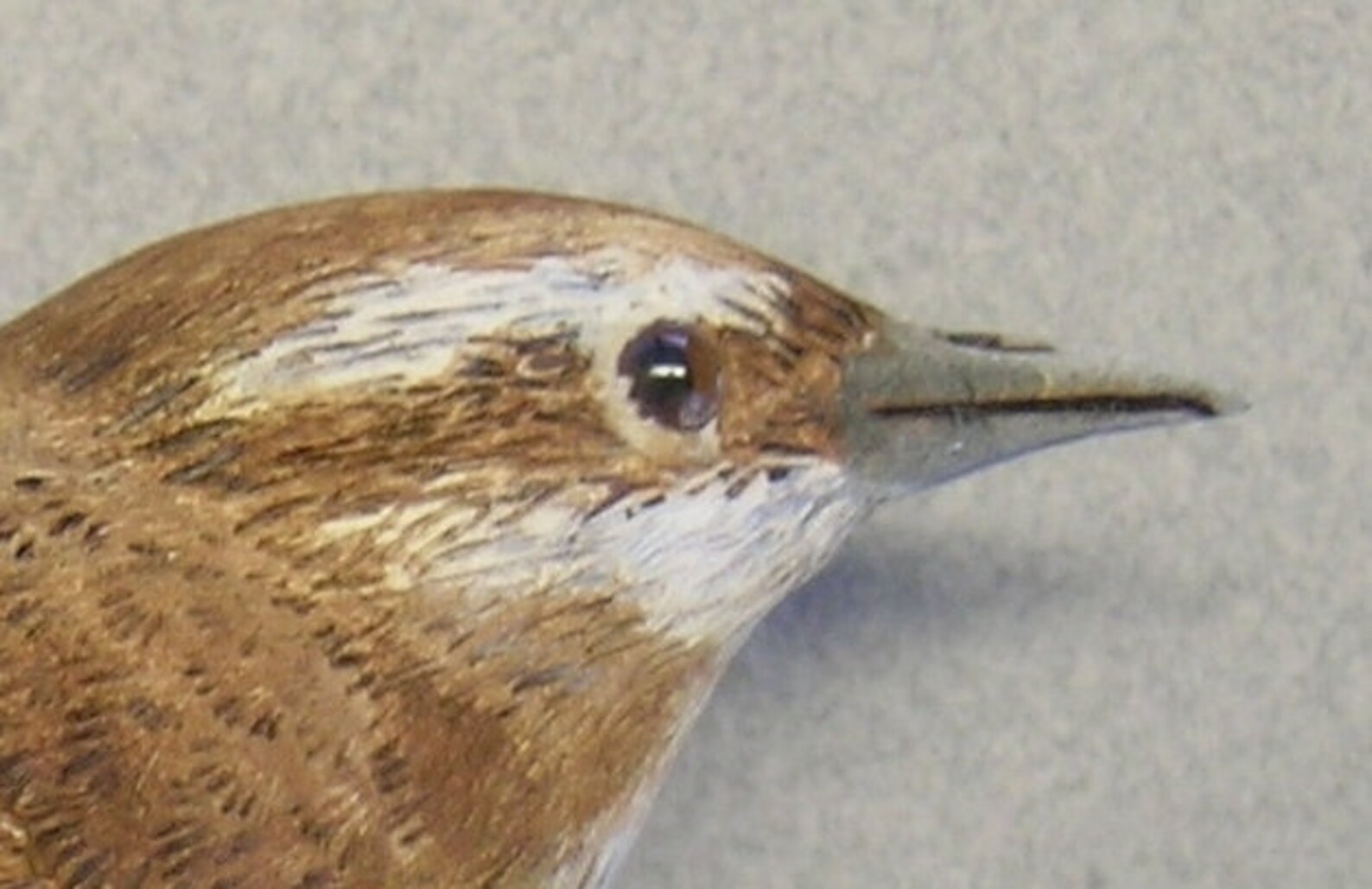 Carving the Wren Using Hand Tools: Digital Download - Etsy