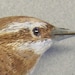 Carving the Wren Using Hand Tools: Digital Download - Etsy
