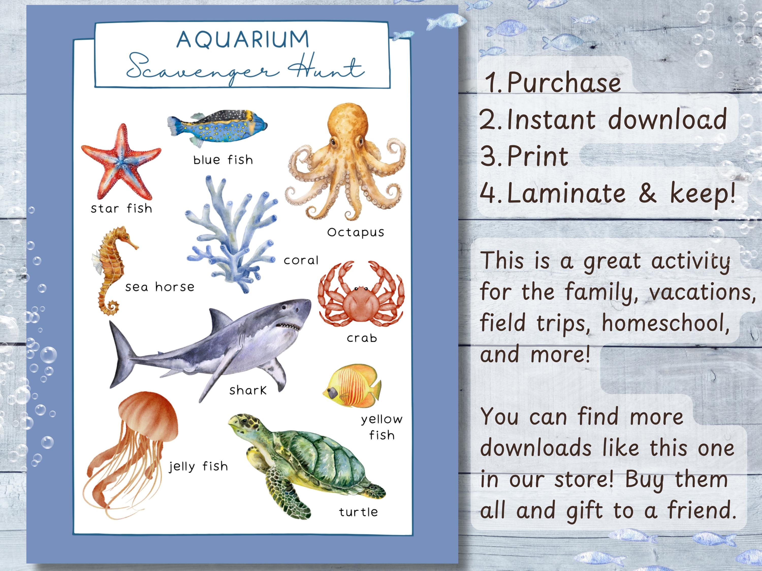 Aquarium Scavenger Hunt, Scavenger Hunt for Kids, Field Trip Activity ...