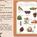 Forest Scavenger Hunt, Scavenger Hunt for Kids, Outdoors, Nature Walk ...