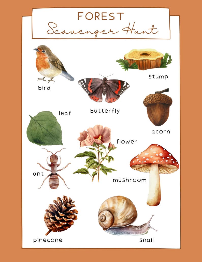 Forest Scavenger Hunt, Scavenger Hunt for Kids, Outdoors, Nature Walk ...