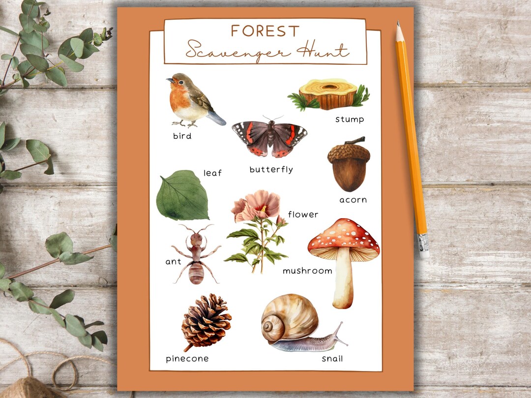 Forest Scavenger Hunt, Scavenger Hunt for Kids, Outdoors, Nature Walk ...