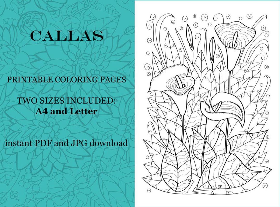 Abstract Calla Lily Coloring Page – Hand-drawn Botanical Printable ...