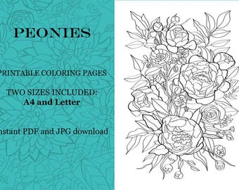 PDF Printable Adult Colouring Page. Georgines, Сhrysanthemums Flowers ...