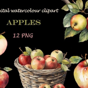 Apples. Digital Watercolor Clipart. AI Illustration. Watercolour Apples ...