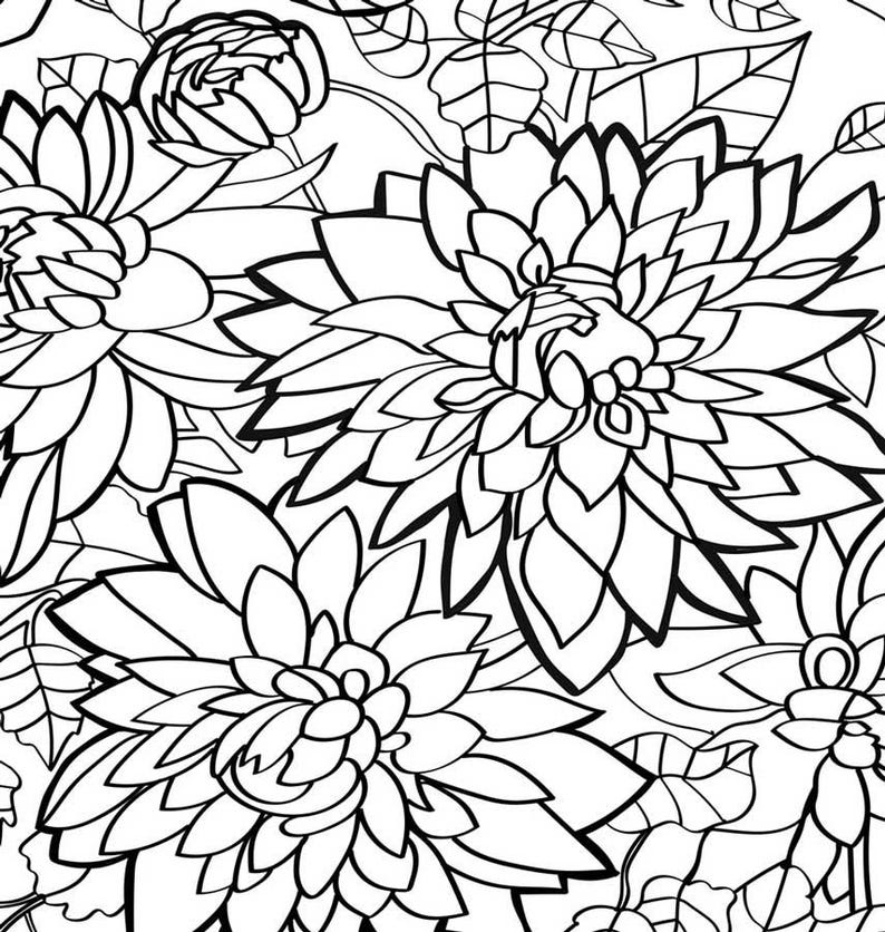 PDF Printable Adult Colouring Page. Georgines, Сhrysanthemums Flowers ...