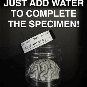 Abnormal Brain Black & White Mini Prop Replica Young Frankenstein - Etsy