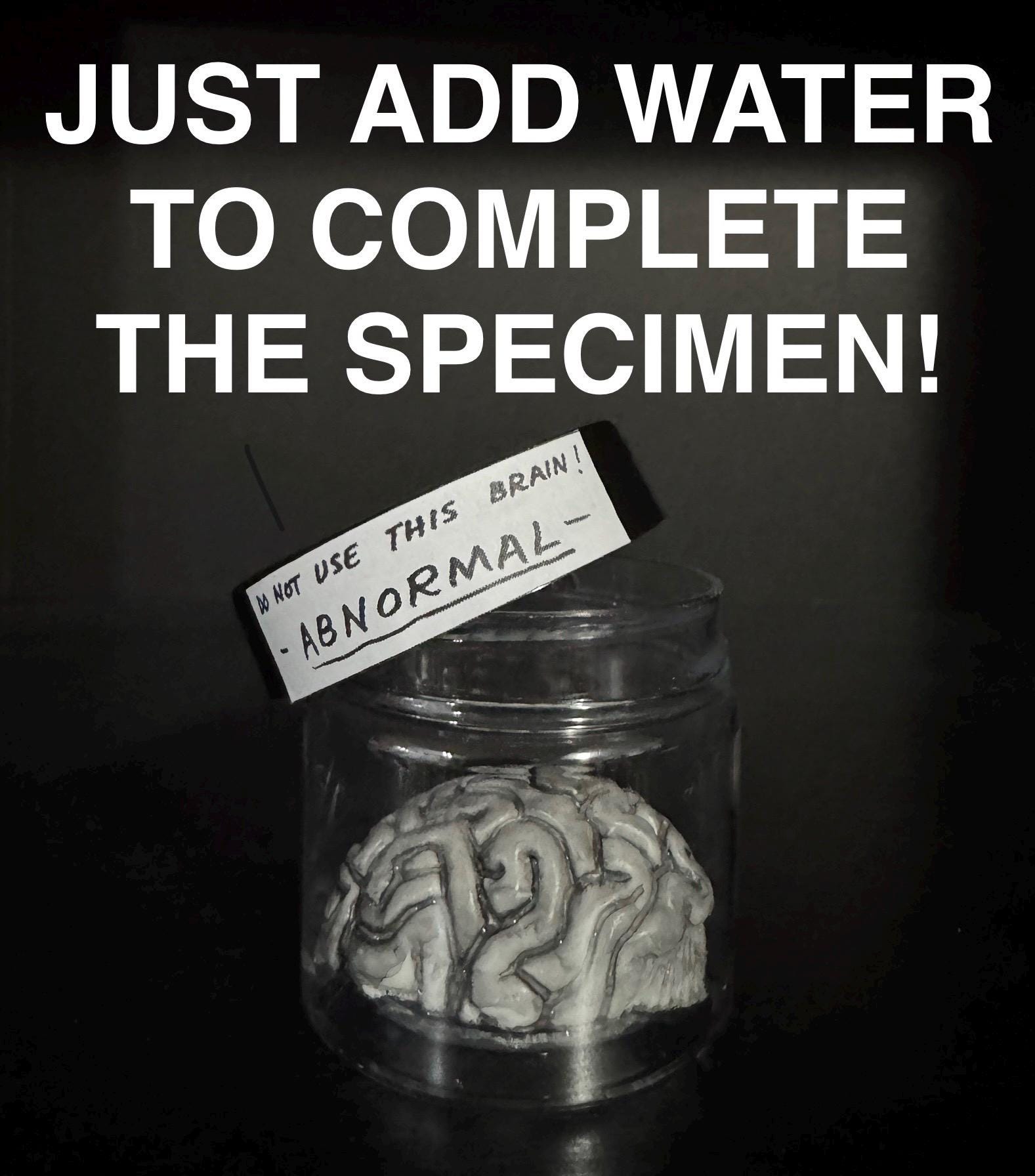 Abnormal Brain Black & White Mini Prop Replica Young Frankenstein - Etsy