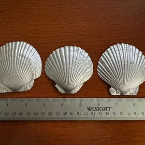 Three Seashells Demolition Man Replica Prop Display - Etsy