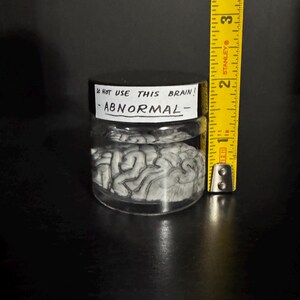 Abnormal Brain Black & White Mini Prop Replica Young Frankenstein - Etsy