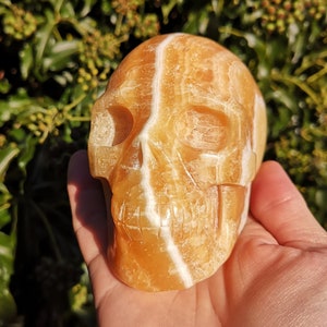 Large Orange Calcite Crystal Skull - 4 1/2 Inch Banded Yellow Calcite ...