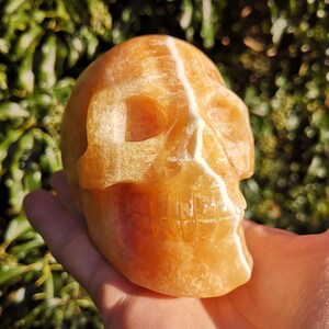 Large Orange Calcite Crystal Skull - 4 1/2 Inch Banded Yellow Calcite ...