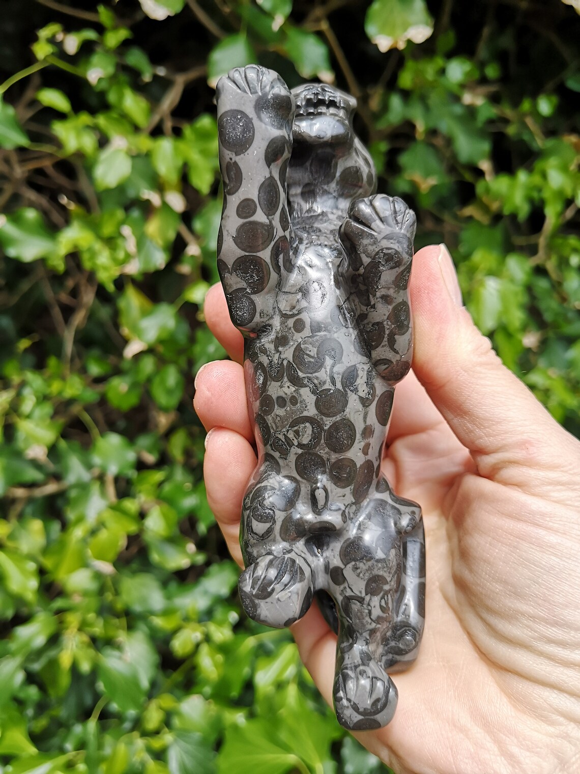 Orbicular Rhyolite Leopard Carving 6 Inch - Puma Cat Carving in Leopard ...