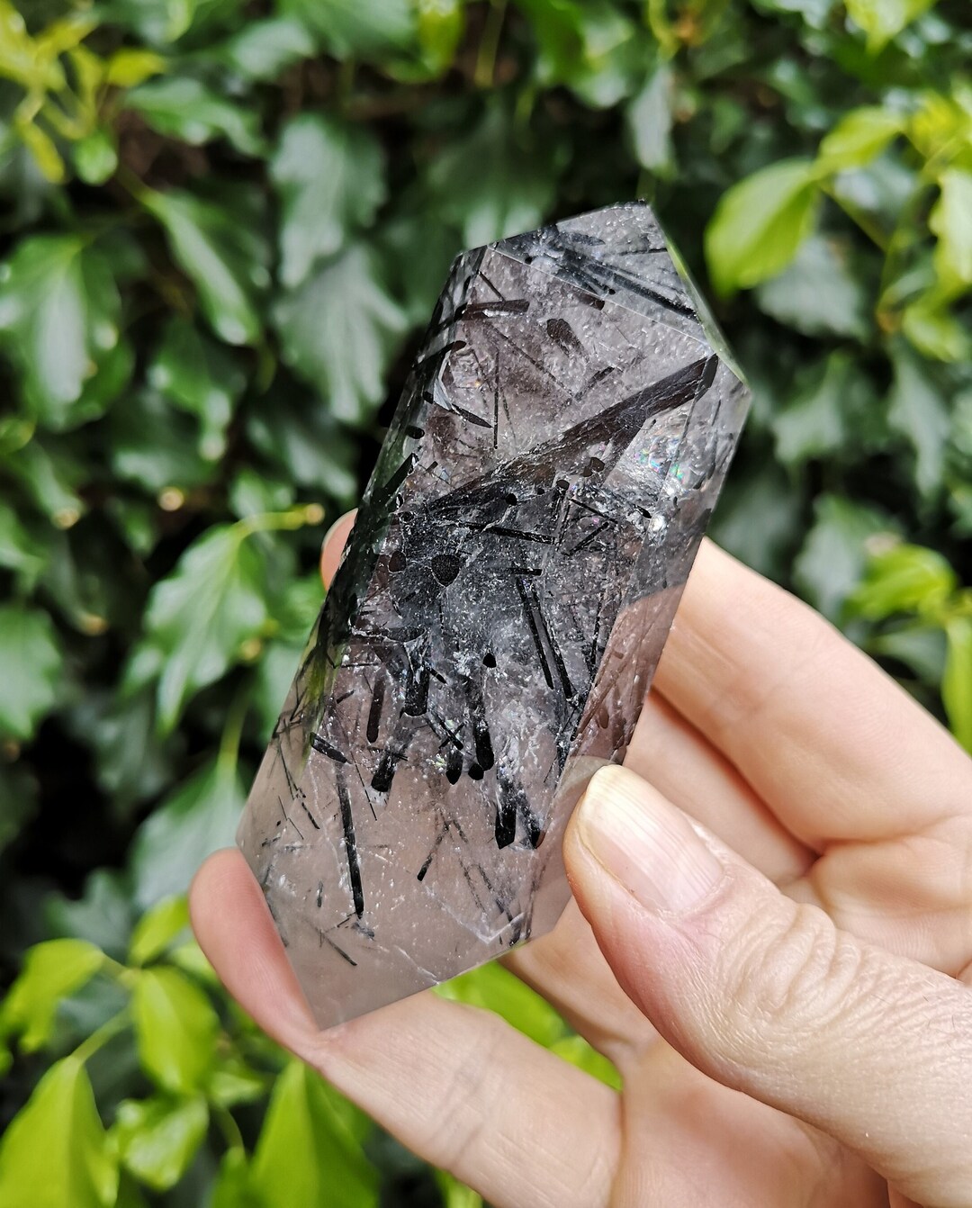 Double Terminated Black Tourmaline in Quartz Rutilated Quartz DT ...