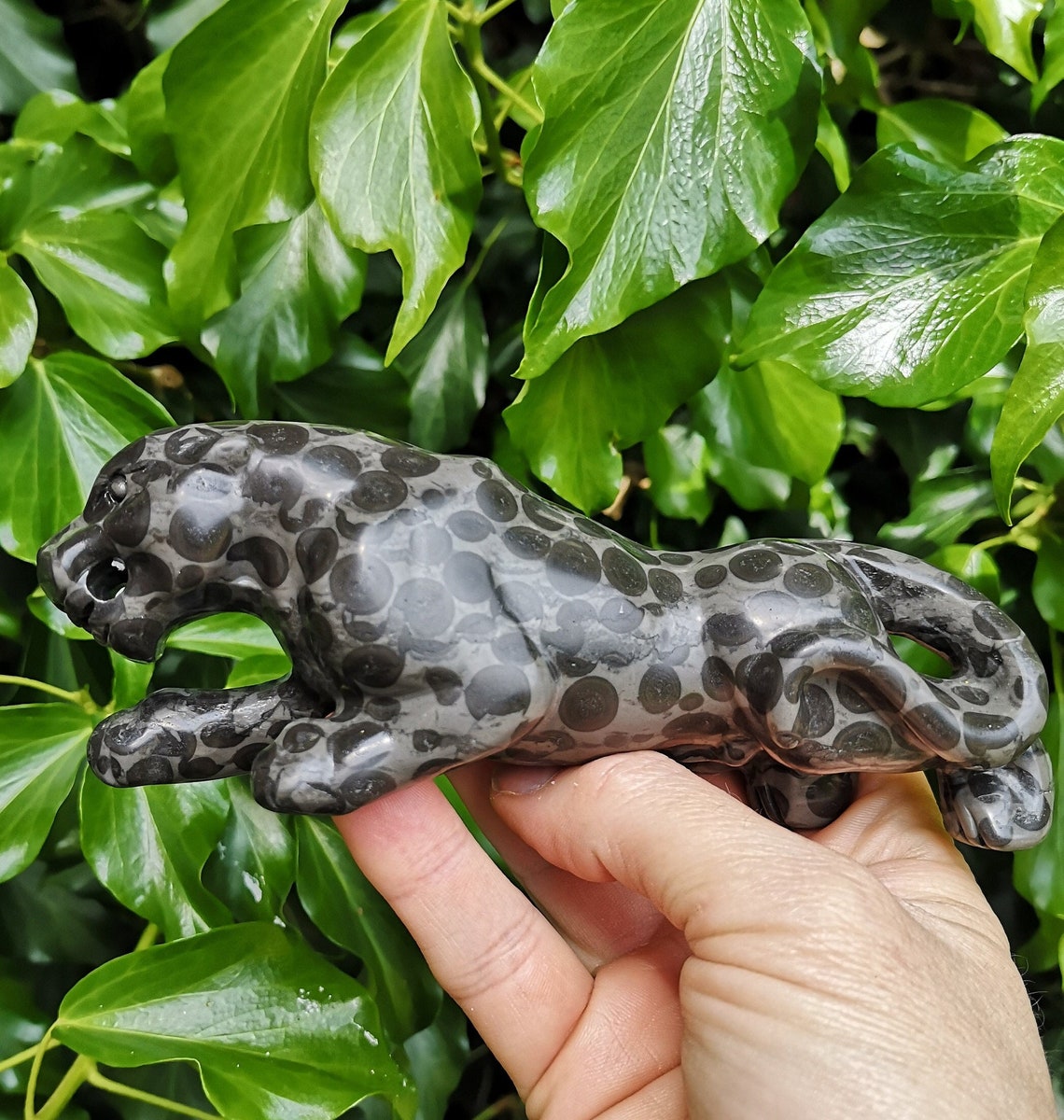Orbicular Rhyolite Leopard Carving 6 Inch - Puma Cat Carving in Leopard ...