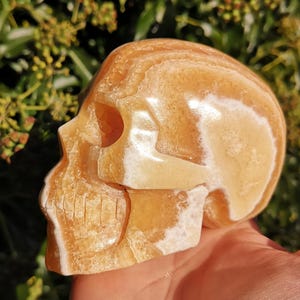 Large Orange Calcite Crystal Skull - 4 1/2 Inch Banded Yellow Calcite ...