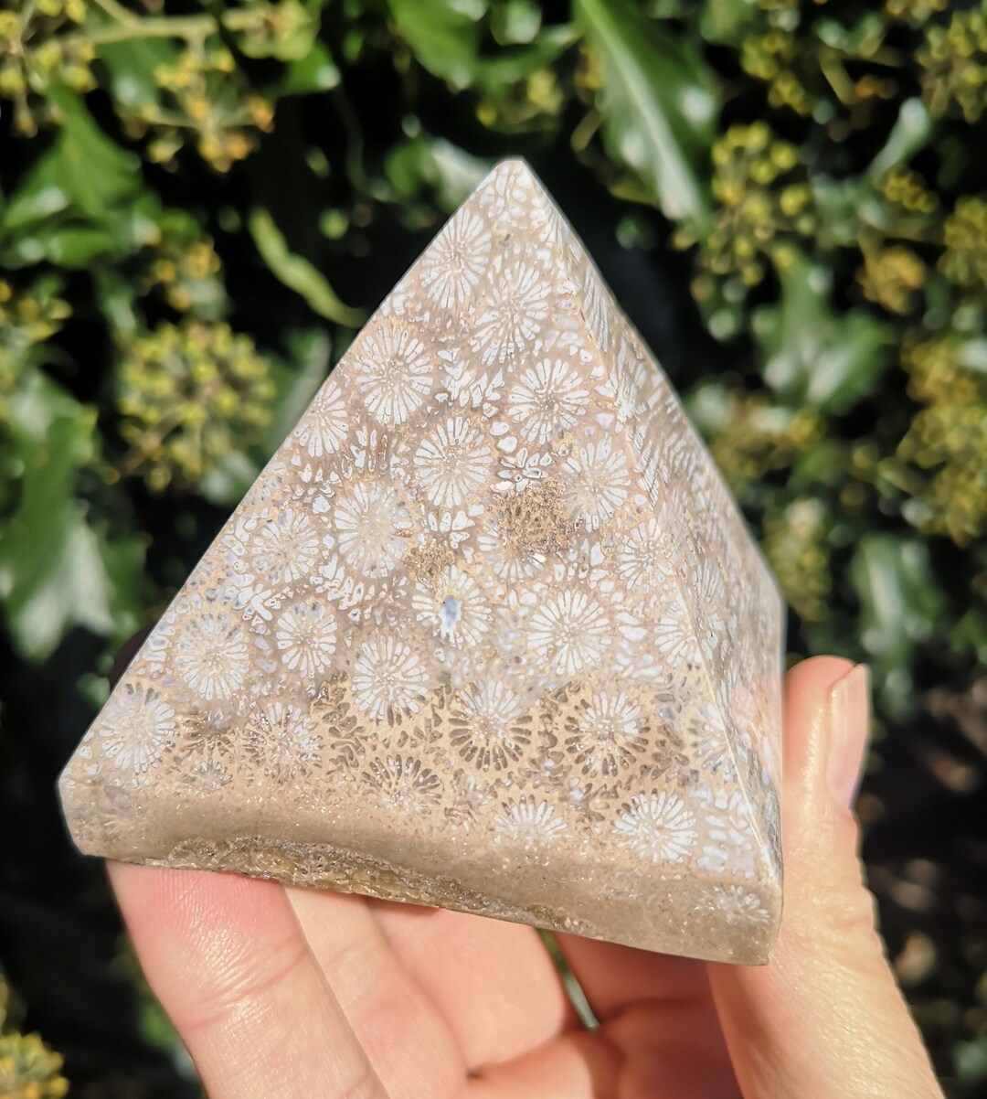 Flower Pattern Coral Fossil Pyramid - Agatized Coral Pyramid 277g 63mm ...