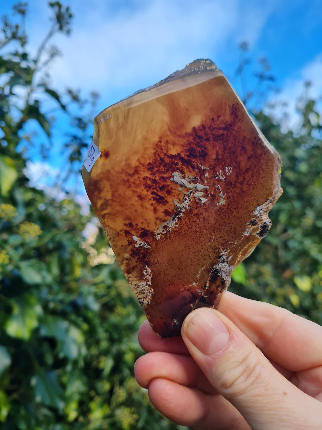 Large Sumatran Amber Slice - Large Amber Slab 51g - Indonesian Amber ...