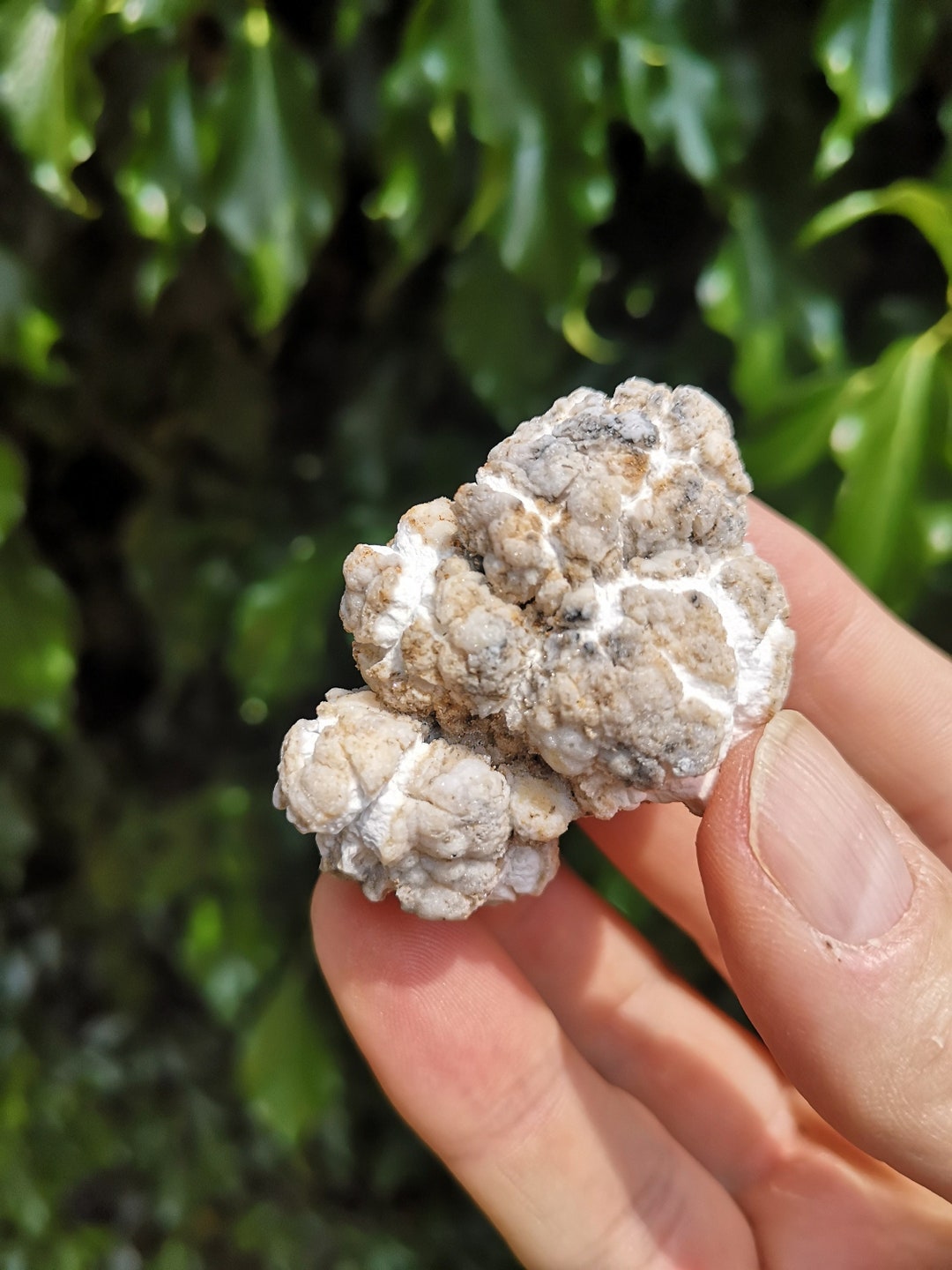 Popcorn Selenite Crystal - Rare Popcorn Gypsum Mineral With Creedite ...