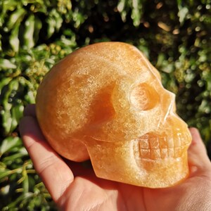 Large Orange Calcite Crystal Skull 4 1/2 Inch Banded Yellow Calcite ...