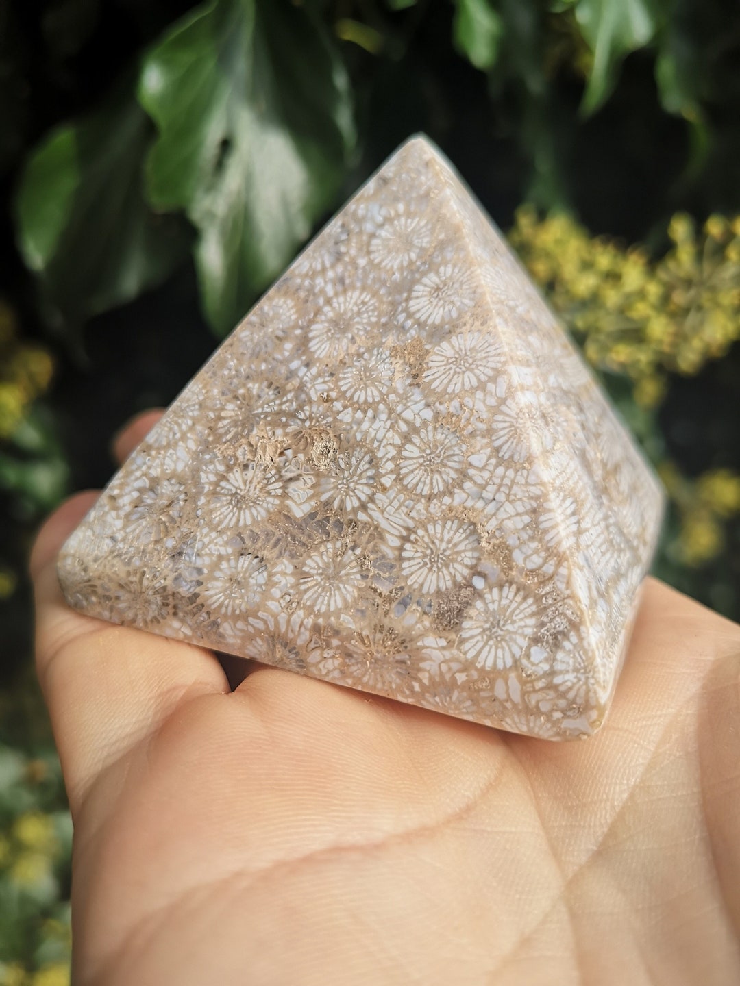 Coral Fossil Hand Carved Pyramid 200g - Agatized Coral Pyramid 61mm ...