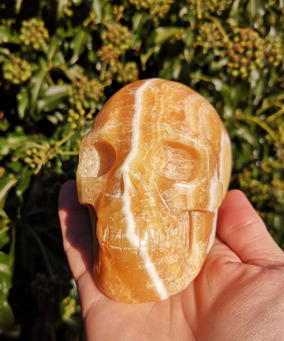 Large Orange Calcite Crystal Skull 4 1/2 Inch Banded Yellow Calcite ...