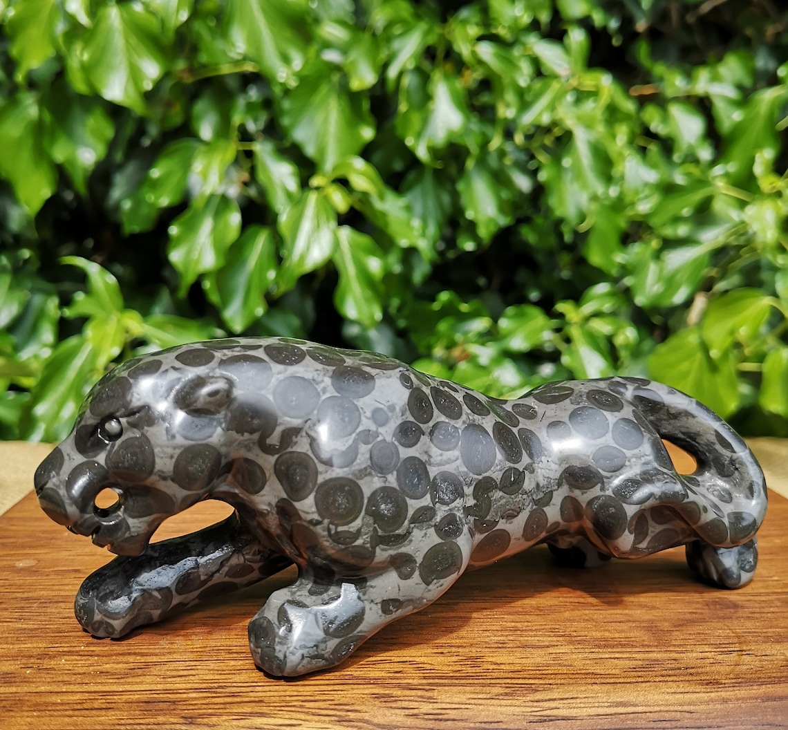 Orbicular Rhyolite Leopard Carving 6 Inch - Puma Cat Carving in Leopard ...