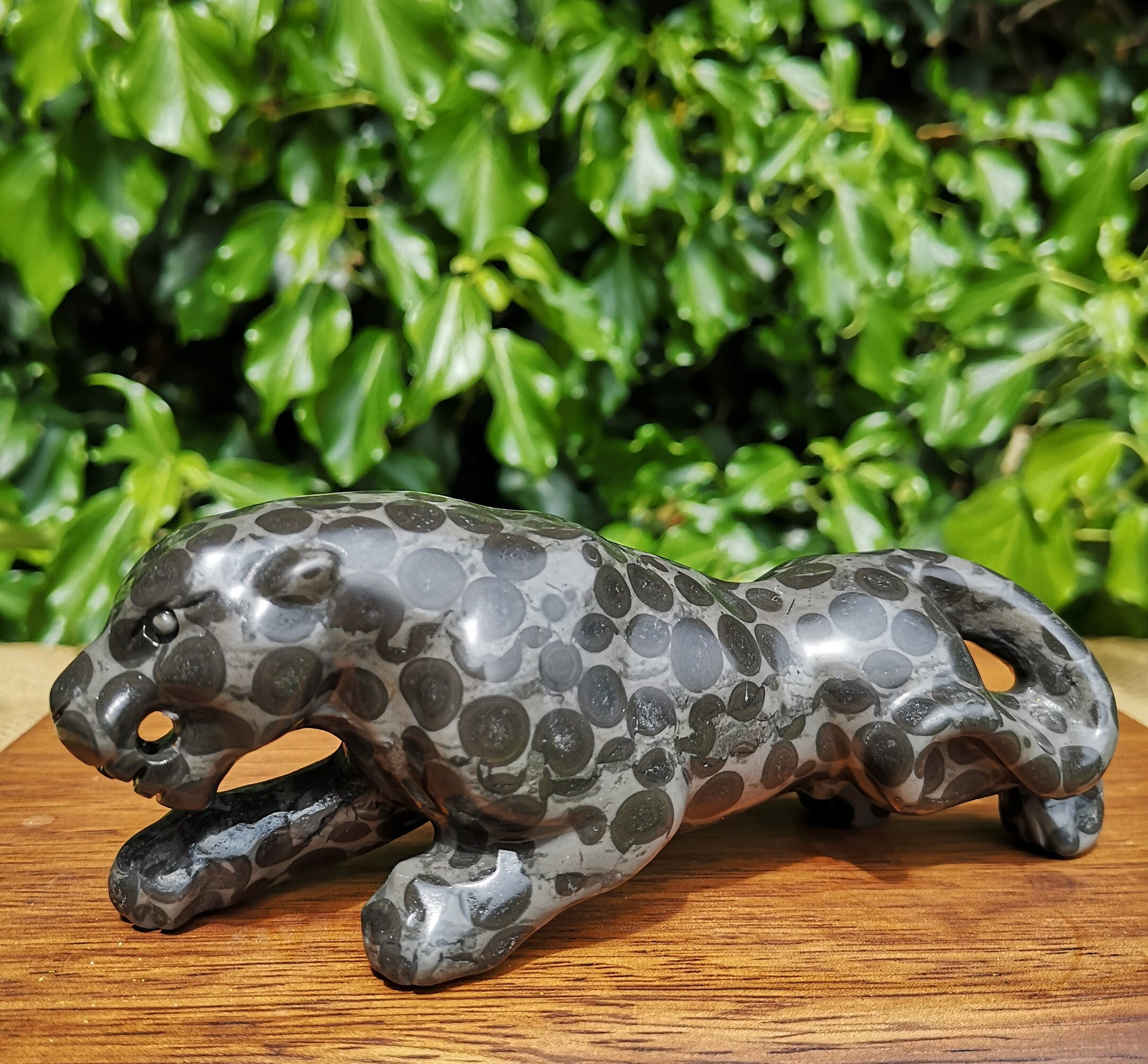 Orbicular Rhyolite Leopard Carving 6 Inch - Puma Cat Carving in Leopard ...