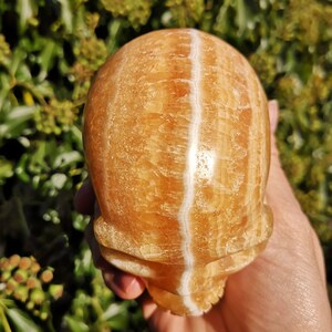 Large Orange Calcite Crystal Skull - 4 1/2 Inch Banded Yellow Calcite ...