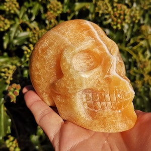 Large Orange Calcite Crystal Skull - 4 1/2 Inch Banded Yellow Calcite ...