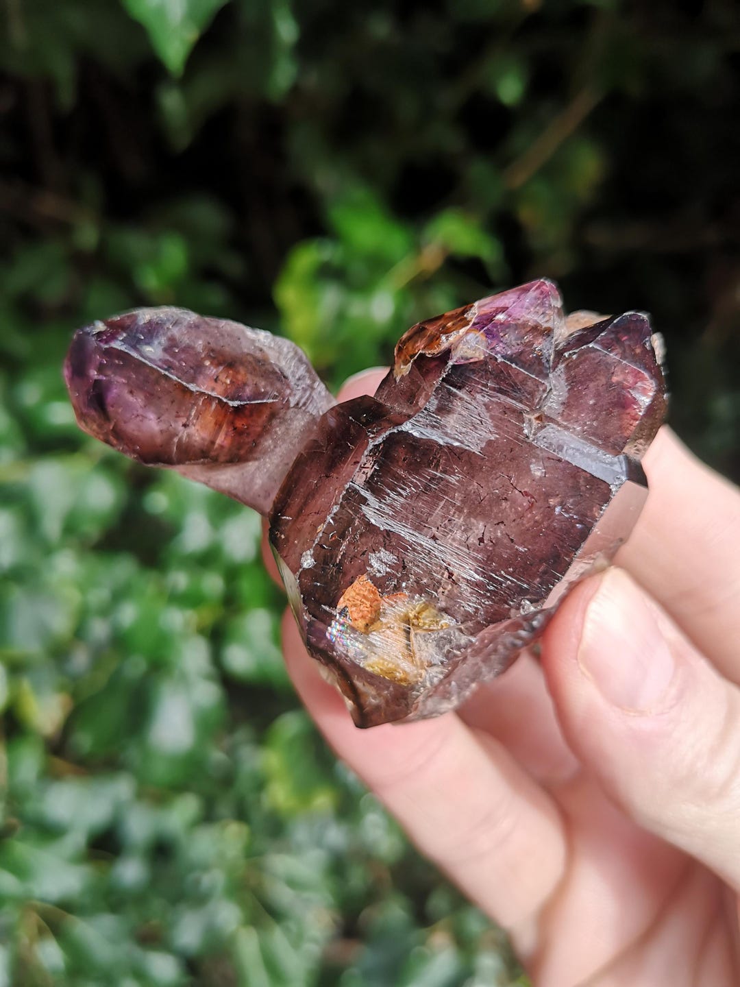 Super Seven Raw Sceptre Crystal With Baby - Natural Melody Stone Crystal 87g - Melody Bridge ...