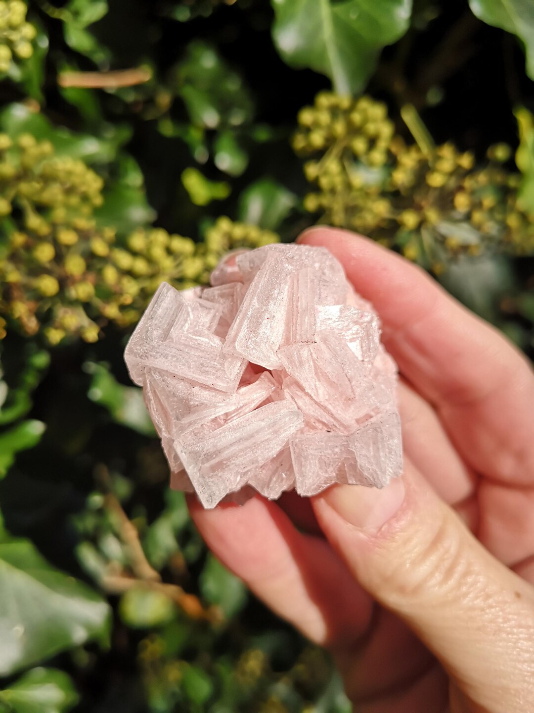 Pink Halite Specimen - Cubic Sparkly Pink Halite 38g - Halite Salt Rock ...