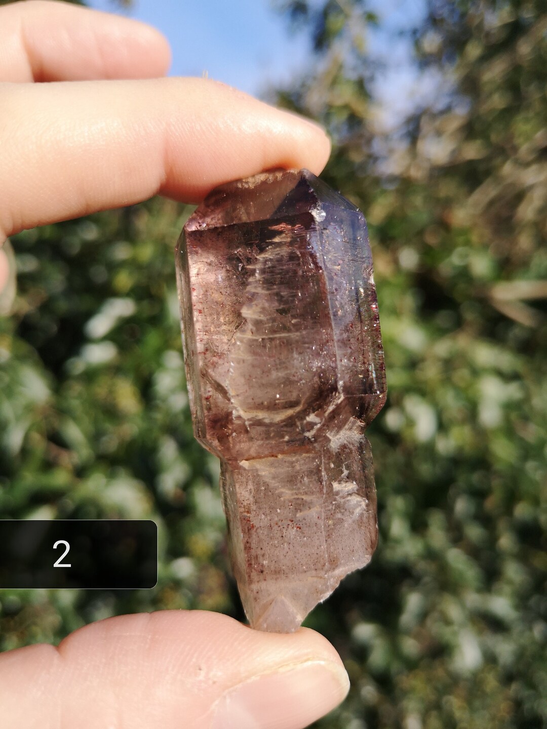 Raw Super Seven Sceptre Crystal Natural Melody Stone Stem Rough Super 7 Sceptre Amethyst, Clear ...