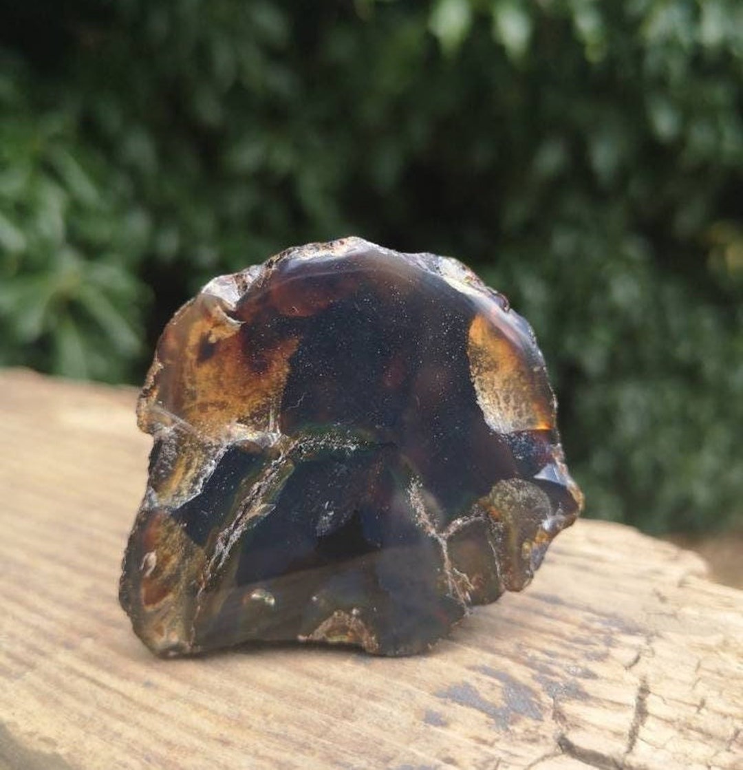 Sumatran Amber Slice Amber Slab Indonesian Amber Slice UV Reactive ...