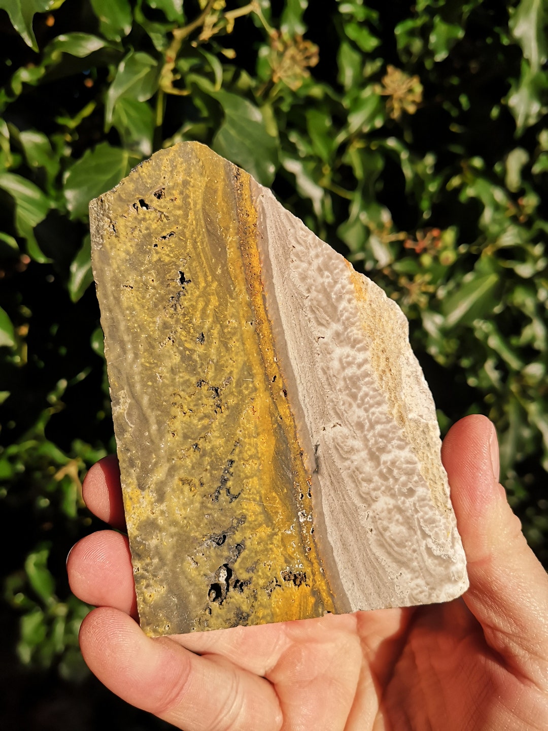 Bumblebee Jasper Slice Large Bumblebee Jasper Crystal Slab 209g Yellow ...