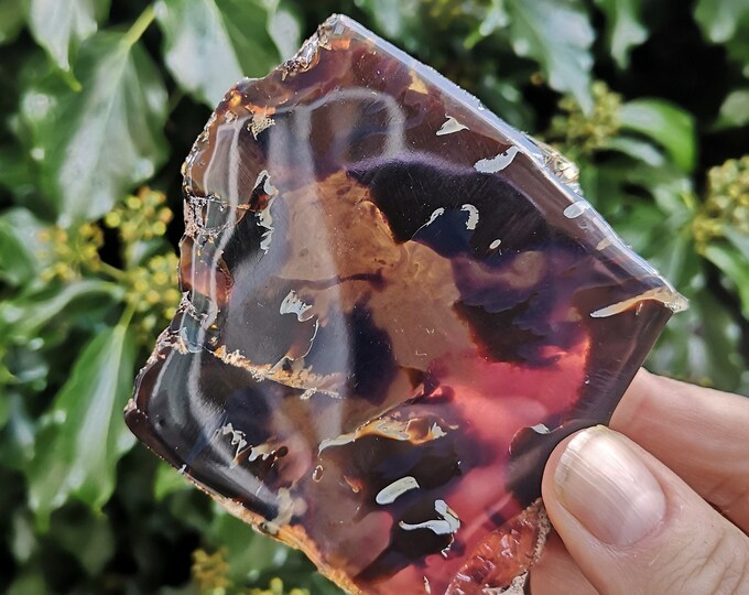 Sumatran Amber Slice - Large Amber Slab 60g - Indonesian Amber Slice ...