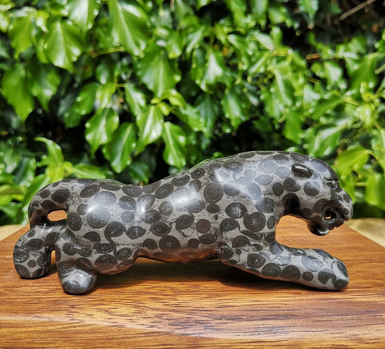 Orbicular Rhyolite Leopard Carving 6 Inch - Puma Cat Carving in Leopard ...
