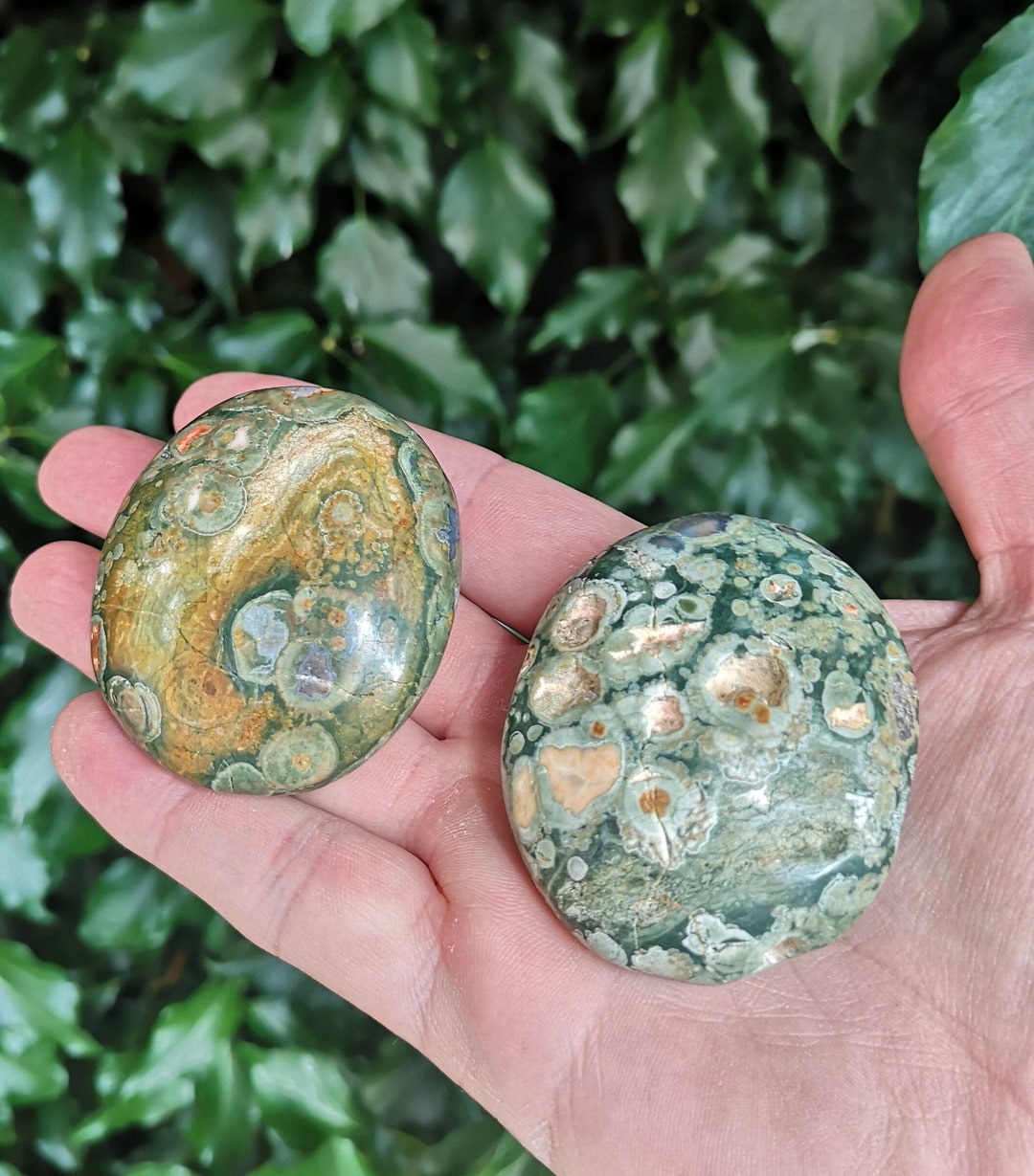 Rainforest Jasper Palm Stone - Rhyolite Palmstone - Jungle Jasper ...