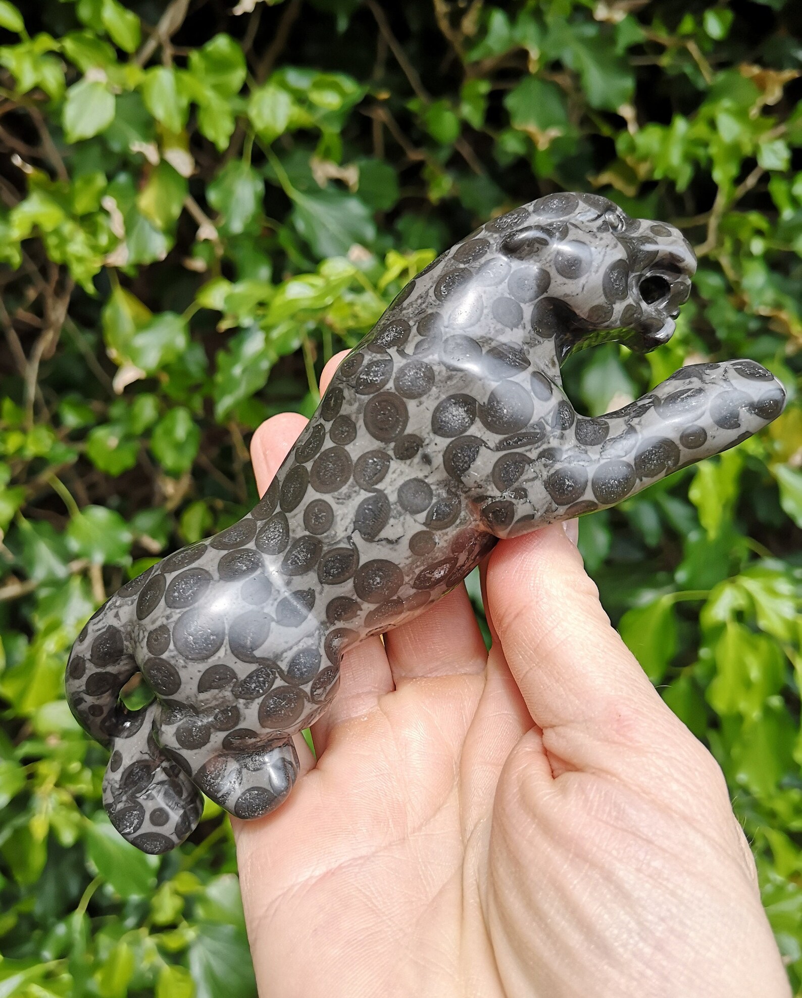 Orbicular Rhyolite Leopard Carving 6 Inch - Puma Cat Carving in Leopard ...