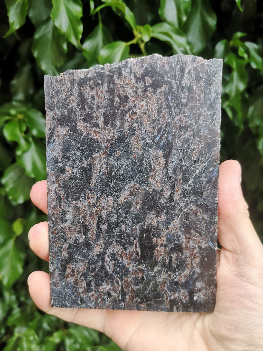 Large Fireworks Stone Slice Astrophyllite Crystal Slab Large ...