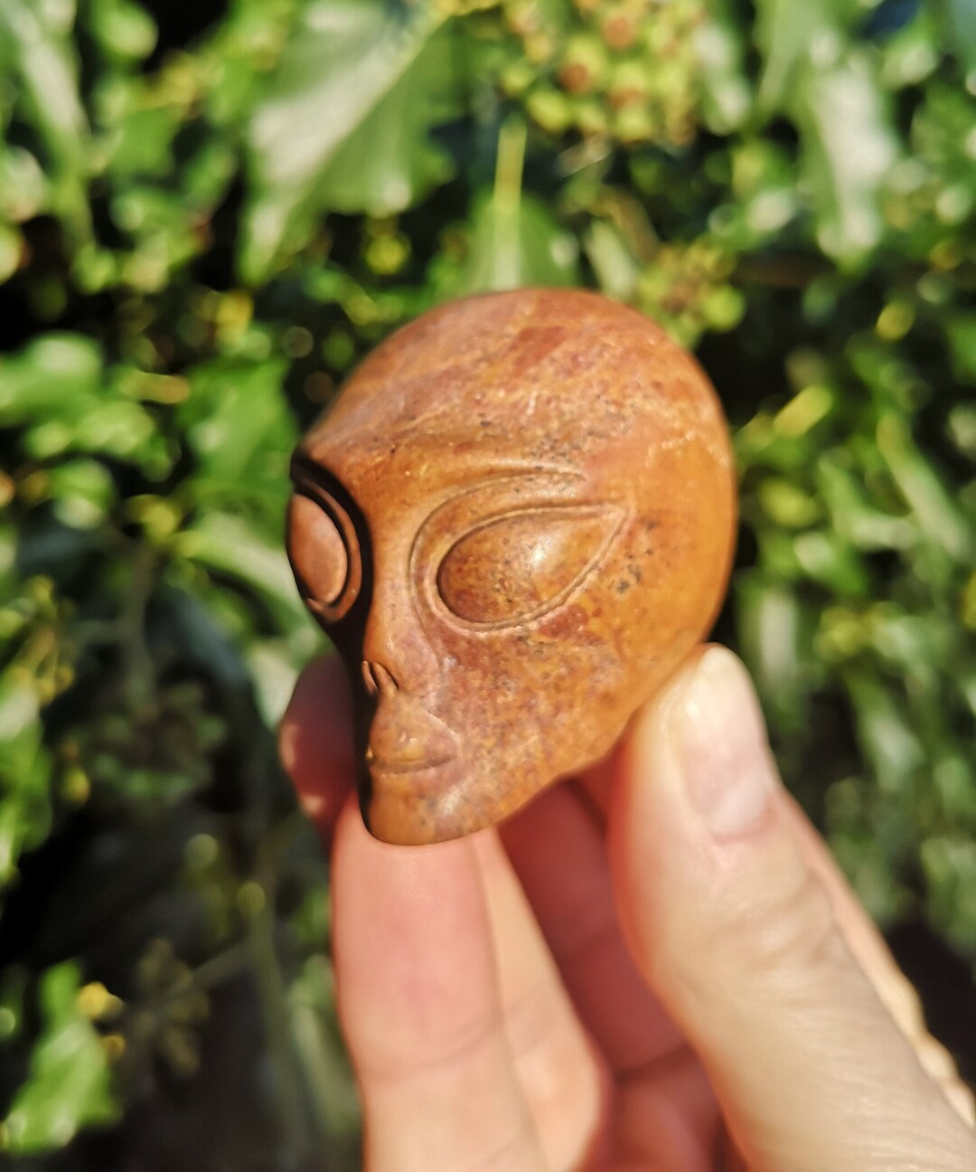 Picture Jasper Star Being Skull Rare Jasper Alien Head Carving Galactic ...