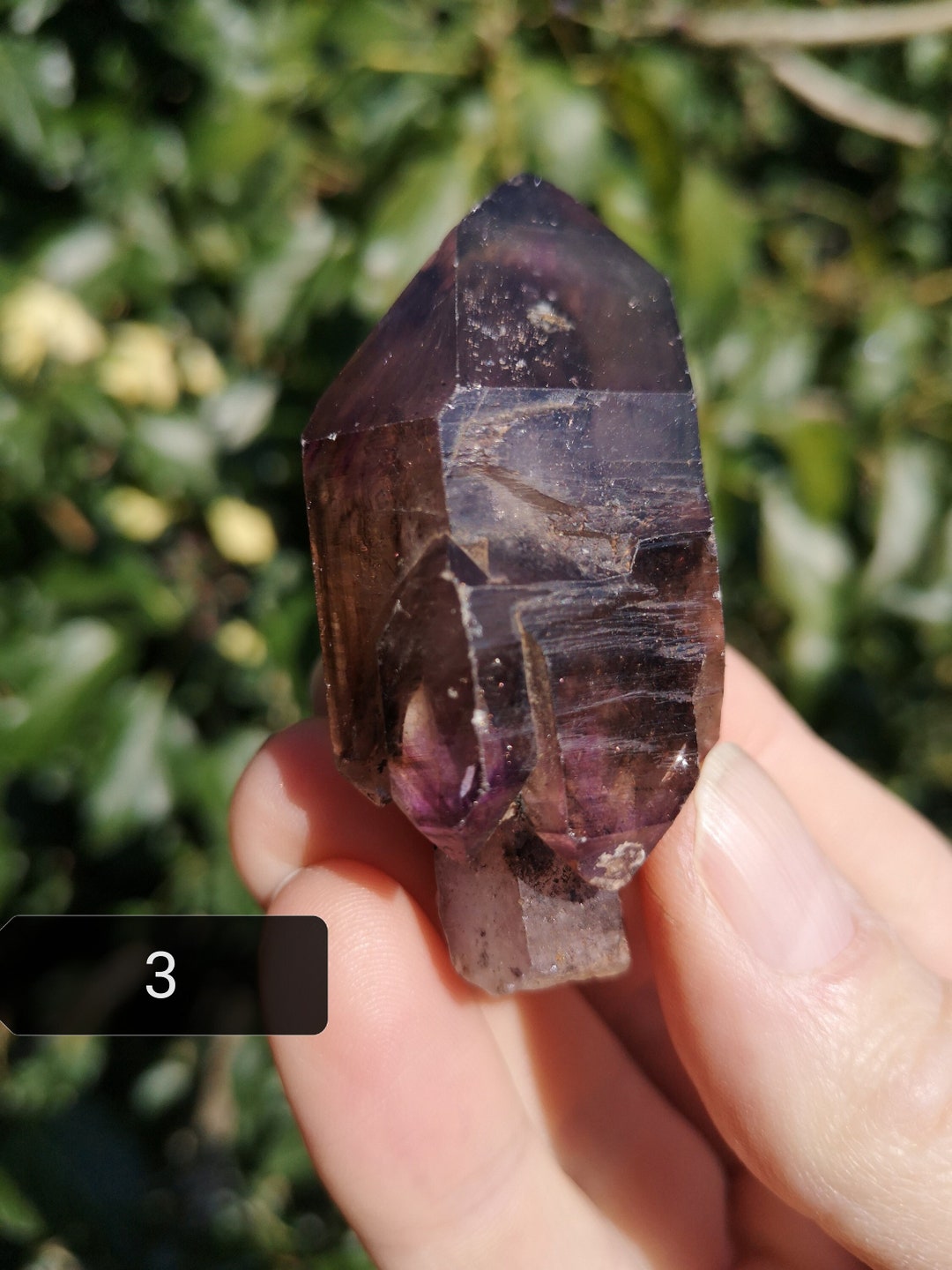 Super Seven Sceptre Raw Melody Stone Super 7 Natural Sceptre Super Seven Rough Sceptre With Stem ...