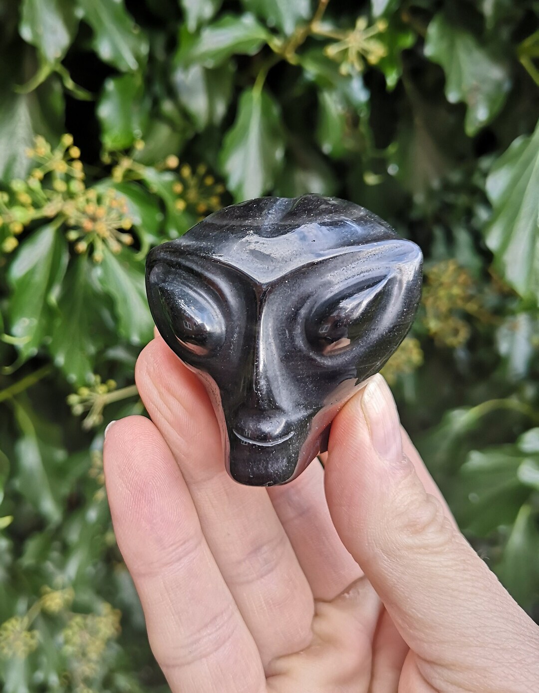 Silver Obsidian Star Being Skull Rare Silver Sheen Alien - Etsy