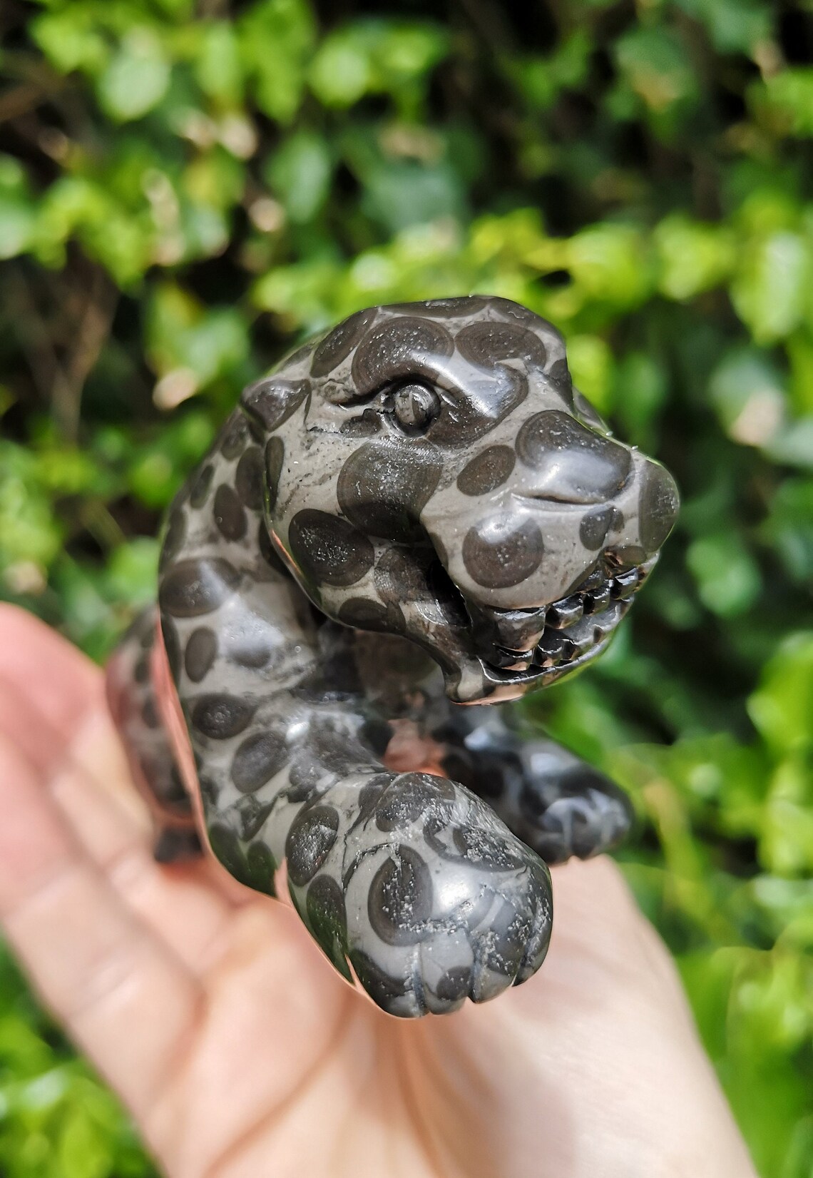 Orbicular Rhyolite Leopard Carving 6 Inch - Puma Cat Carving in Leopard ...