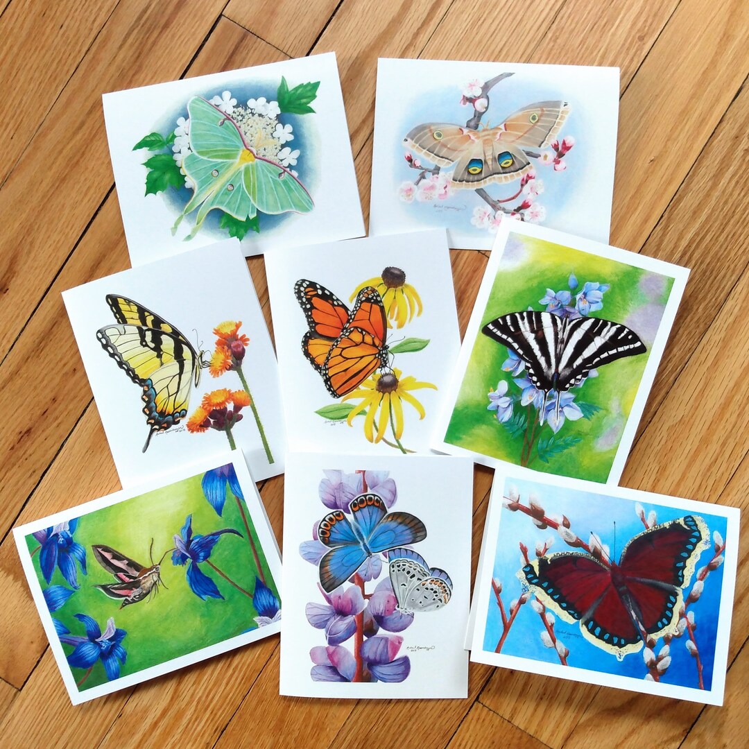 Minnesota Butterflies and Moths Pack of 8 Notecards - Etsy
