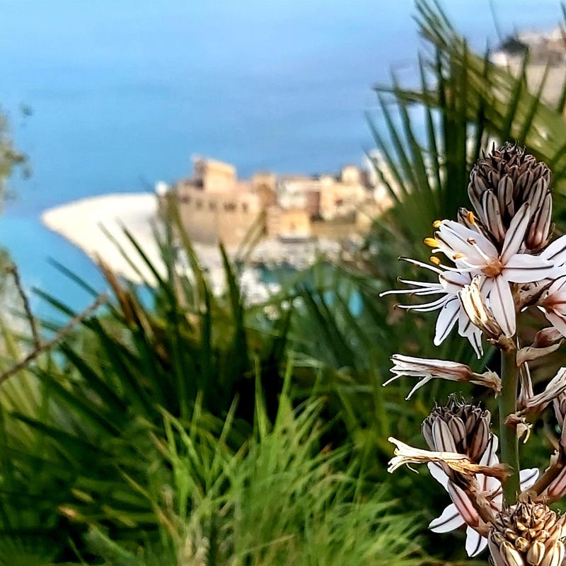 PersephoneParadise - Etsy