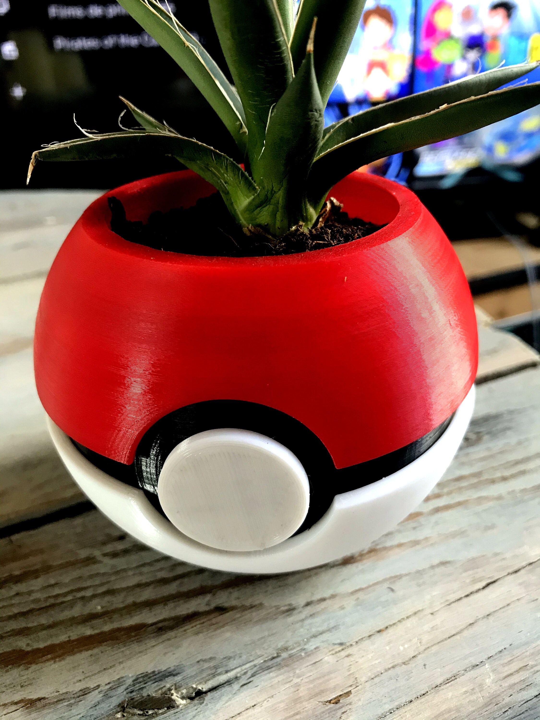 Pot de fleur forme Pokemon Impression 3D - Etsy France
